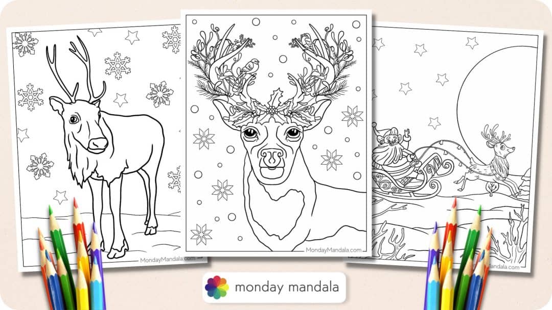 42 Reindeer Coloring Pages (Free PDF Printables)