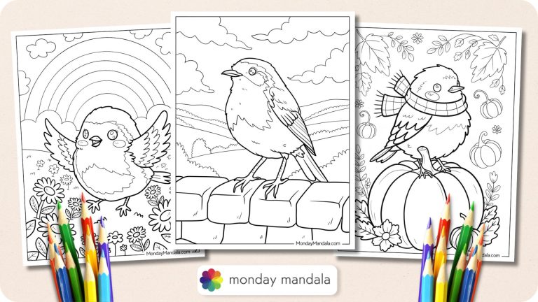 23 Robin Coloring Pages (Free PDF Printables)