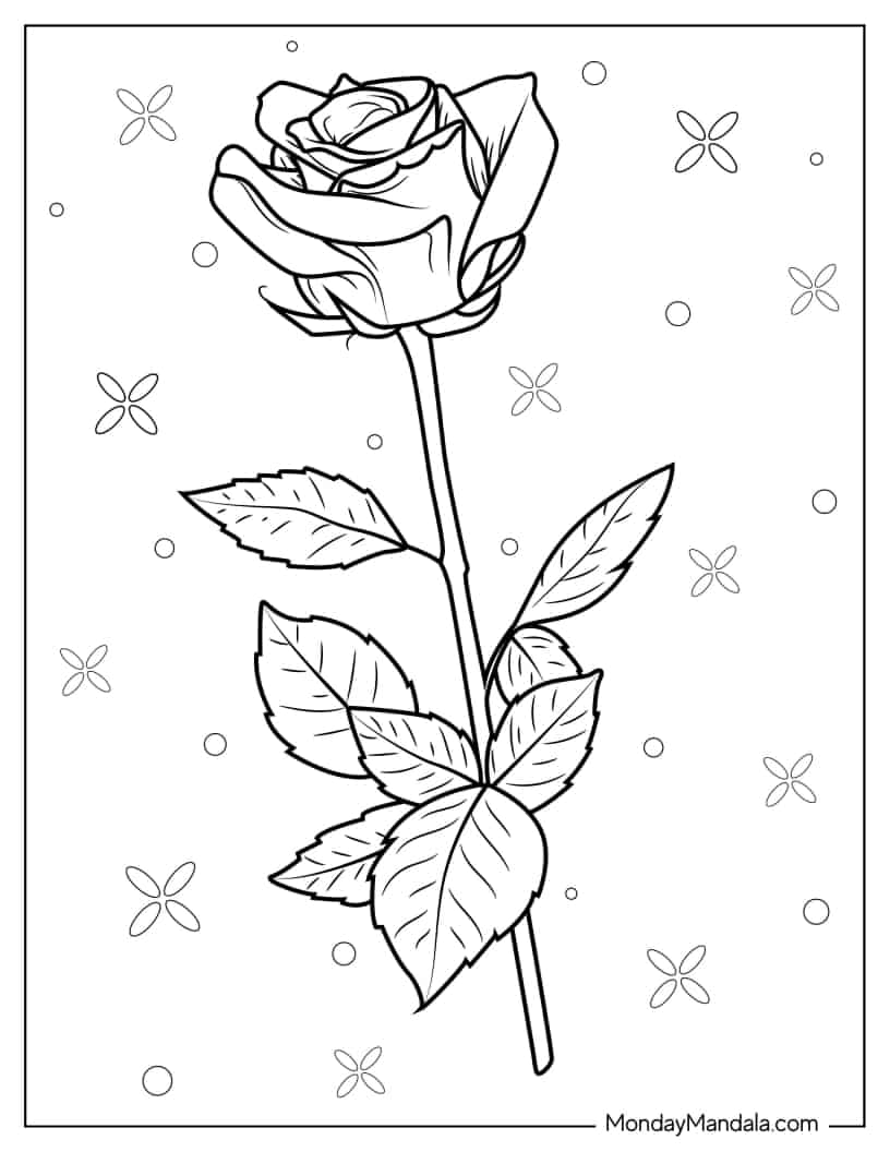20 Rose Coloring Pages (Free PDF Printables)