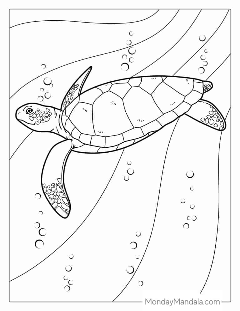 39 Turtle Coloring Pages (Free PDF Printables)