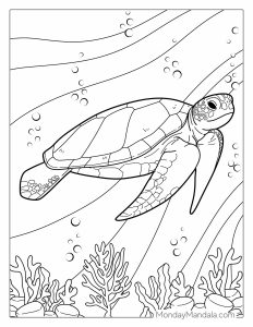 39 Turtle Coloring Pages (Free PDF Printables)