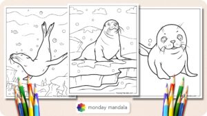 20 Seal Coloring Pages (Free PDF Printables)