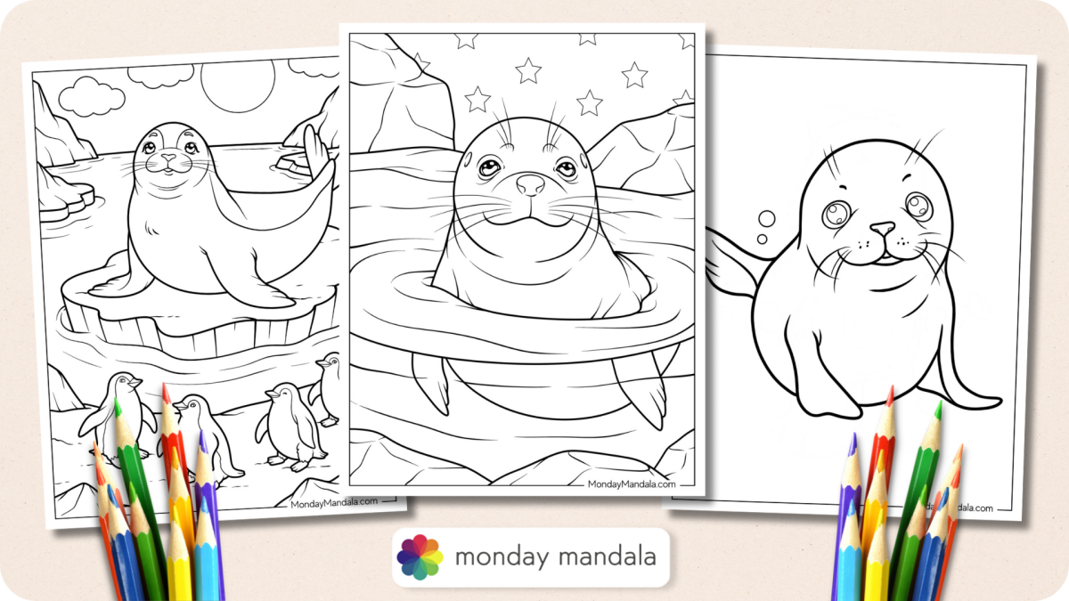 25 Seal Coloring Pages (Free PDF Printables)