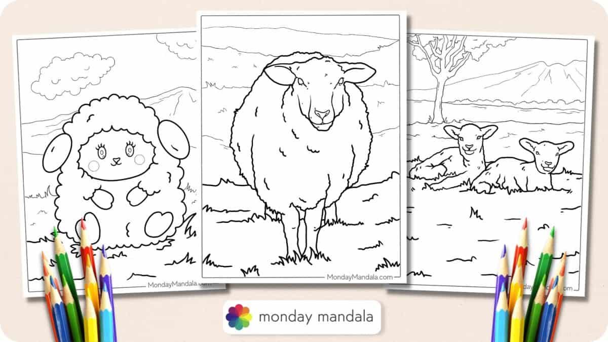 24 Sheep Coloring Pages (Free PDF Printables)