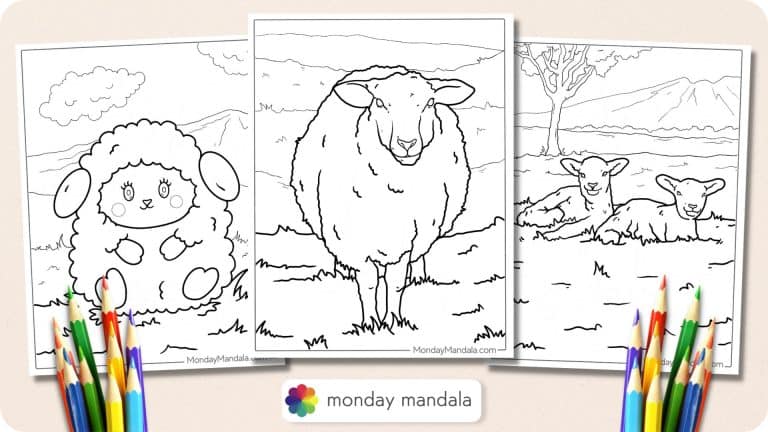 24 Sheep Coloring Pages (Free PDF Printables)