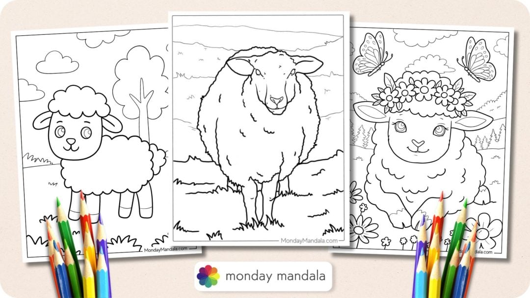 39 Sheep Coloring Pages (Free PDF Printables)