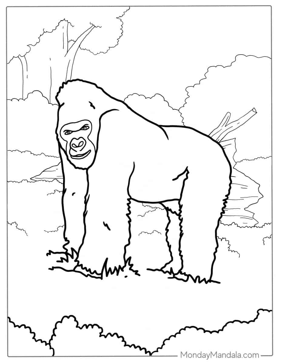 32 Gorilla Coloring Pages (Free PDF Printables)