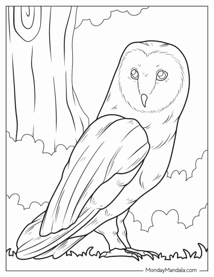 32 Owl Coloring Pages (Free PDF Printables)