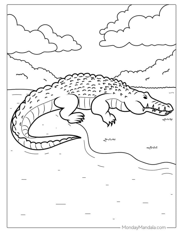 25 Crocodile Coloring Pages (Free PDF Printables)