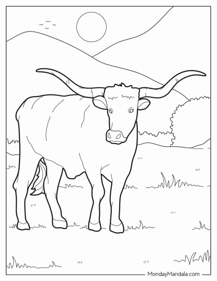 20 Bull Coloring Pages (Free PDF Printables)