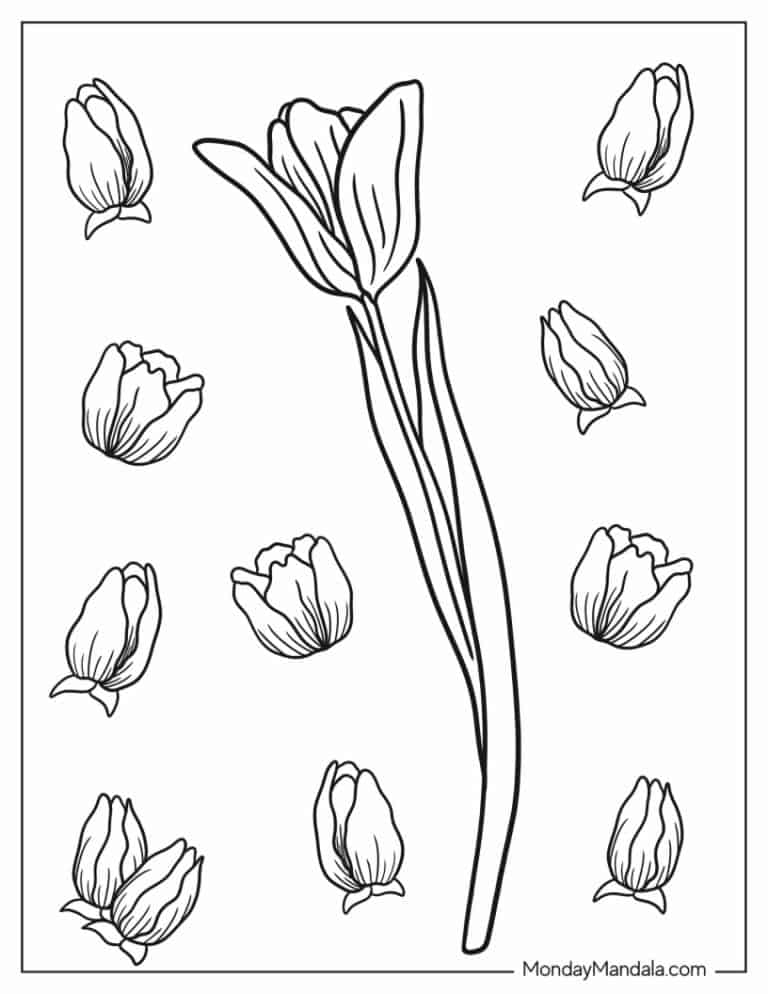 38 Tulip Coloring Pages (Free PDF Printables)