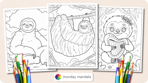 32 Sloth Coloring Pages (Free PDF Printables)