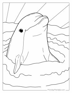 34 Dolphin Coloring Pages (Free PDF Printables)