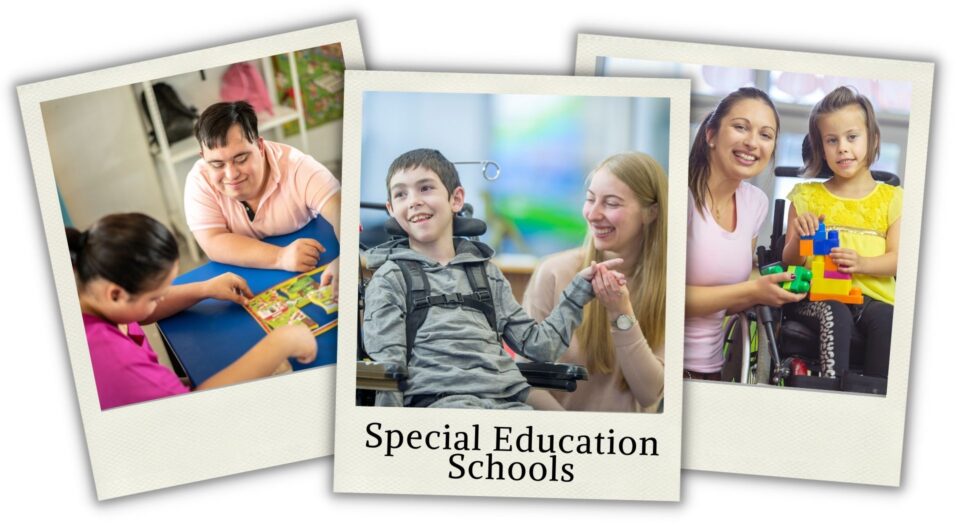 46 Types of Schools: With 21 You Likely Didn't Know Existed