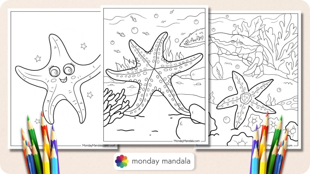 20 Starfish Coloring Pages (Free PDF Printables)