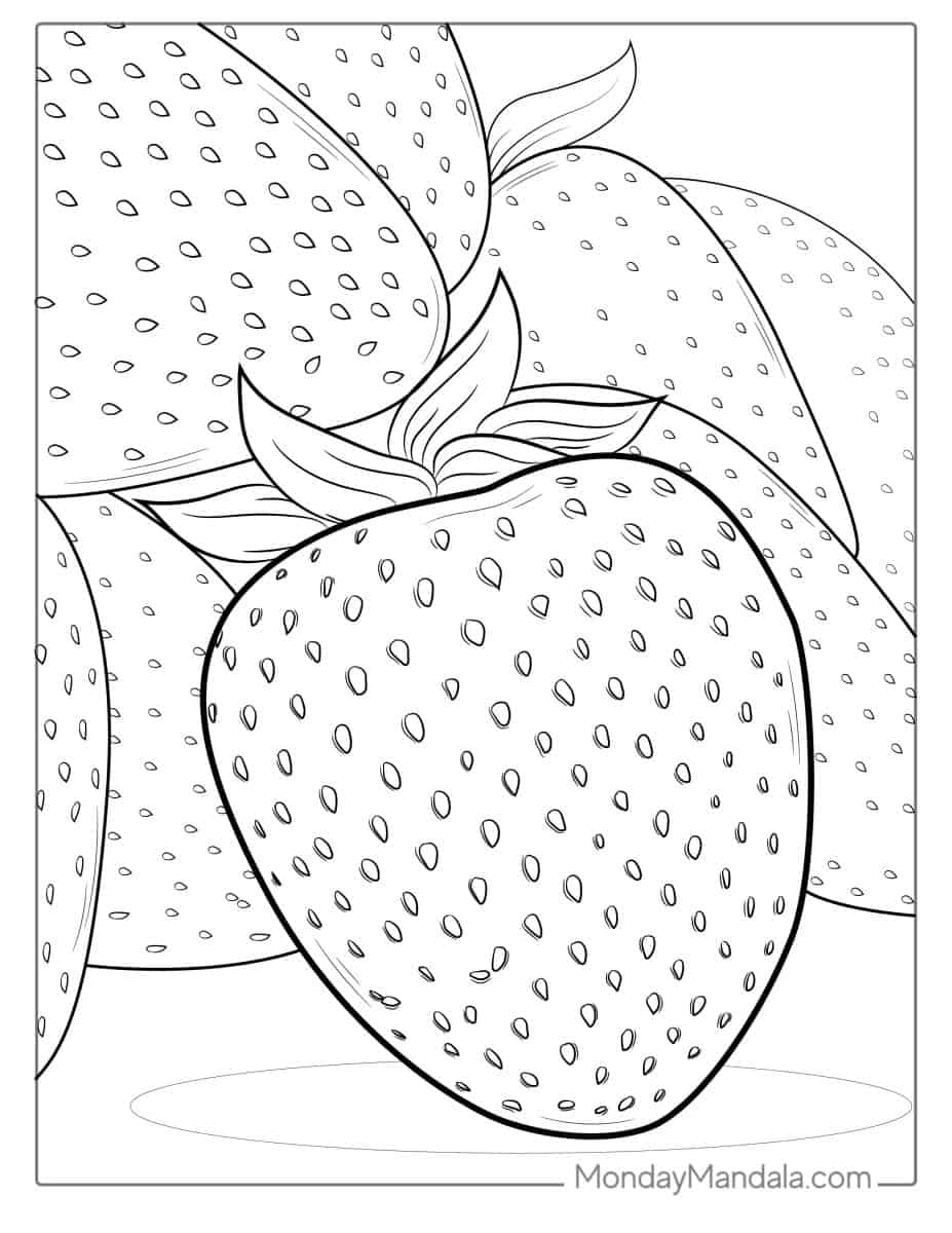 32 Strawberry Coloring Pages (Free PDF Printables)