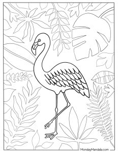 29 Flamingo Coloring Pages (Free PDF Printables)