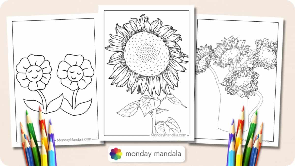 54 Sunflower Coloring Pages (Free PDF Printables)