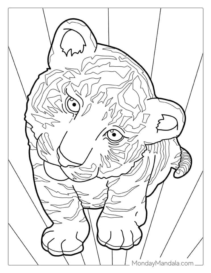 40 Tiger Coloring Pages (Free PDF Printables)