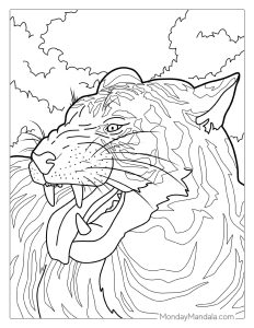 40 Tiger Coloring Pages (Free PDF Printables)
