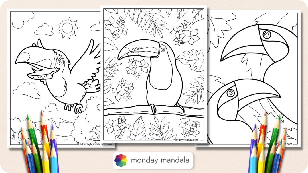 20 Toucan Coloring Pages (Free PDF Printables)