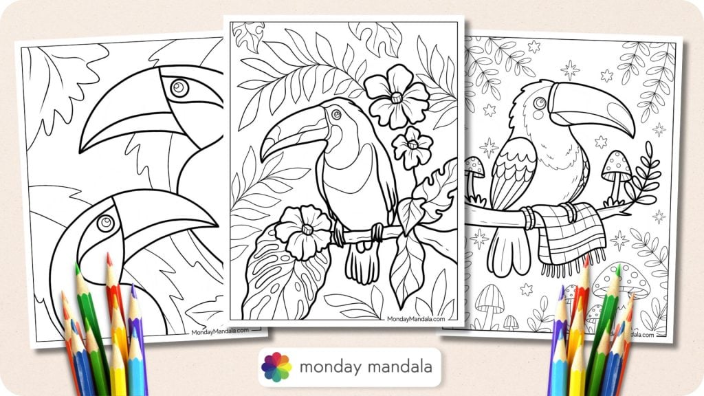 29 Toucan Coloring Pages (Free PDF Printables)
