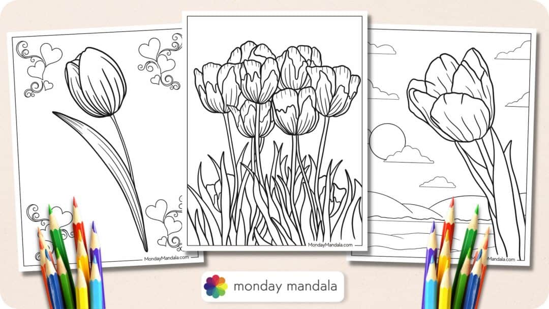 18 Tulip Coloring Pages (Free PDF Printables)