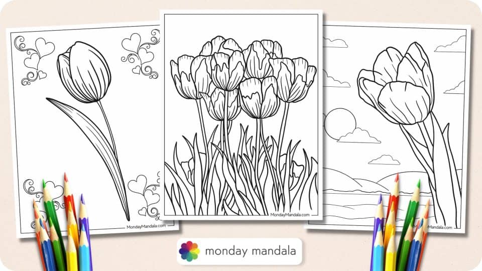 18 Tulip Coloring Pages (Free PDF Printables)