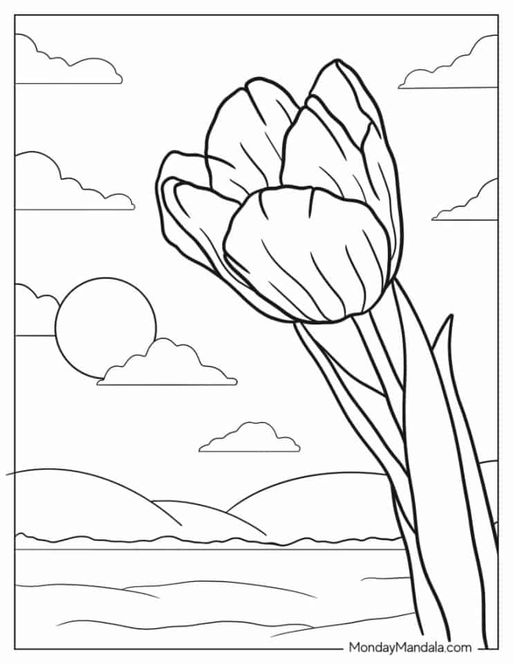 38 Tulip Coloring Pages (Free PDF Printables)