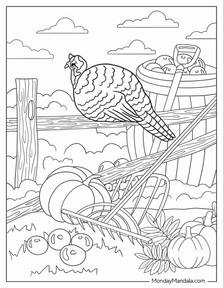 32 Turkey Coloring Pages (Free PDF Printables)