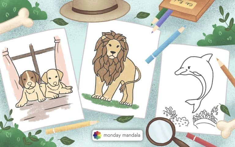 2,000 Animal Coloring Pages (Free PDF Printables)