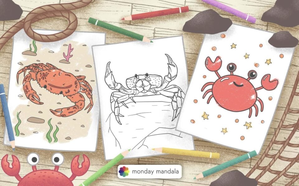 20 Crab Coloring Pages (Free PDF Printables)