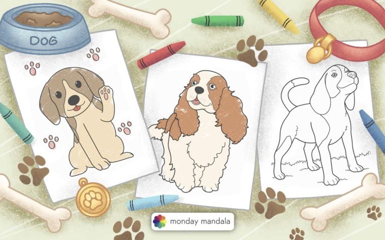 20 Beanie Boo Coloring Pages (Free PDF Printables)