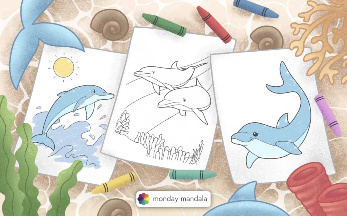 34 Dolphin Coloring Pages (Free PDF Printables)