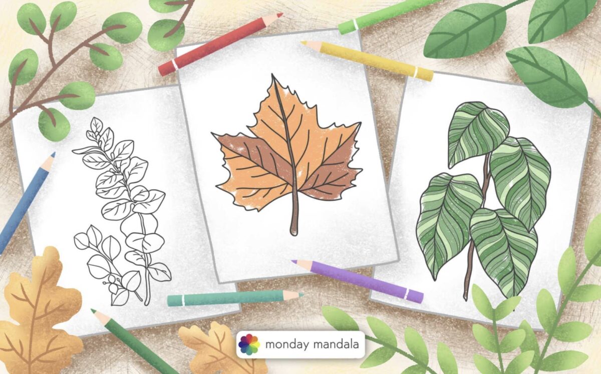 34 Leaf Coloring Pages (Free PDF Printables)