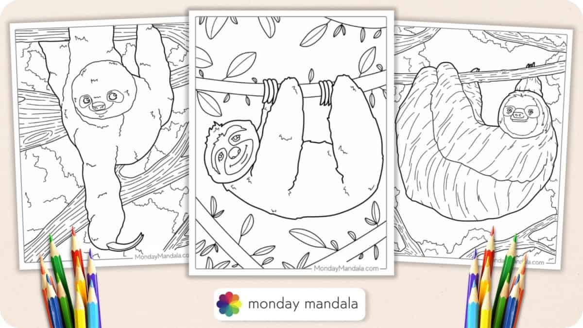32 Sloth Coloring Pages (Free PDF Printables)