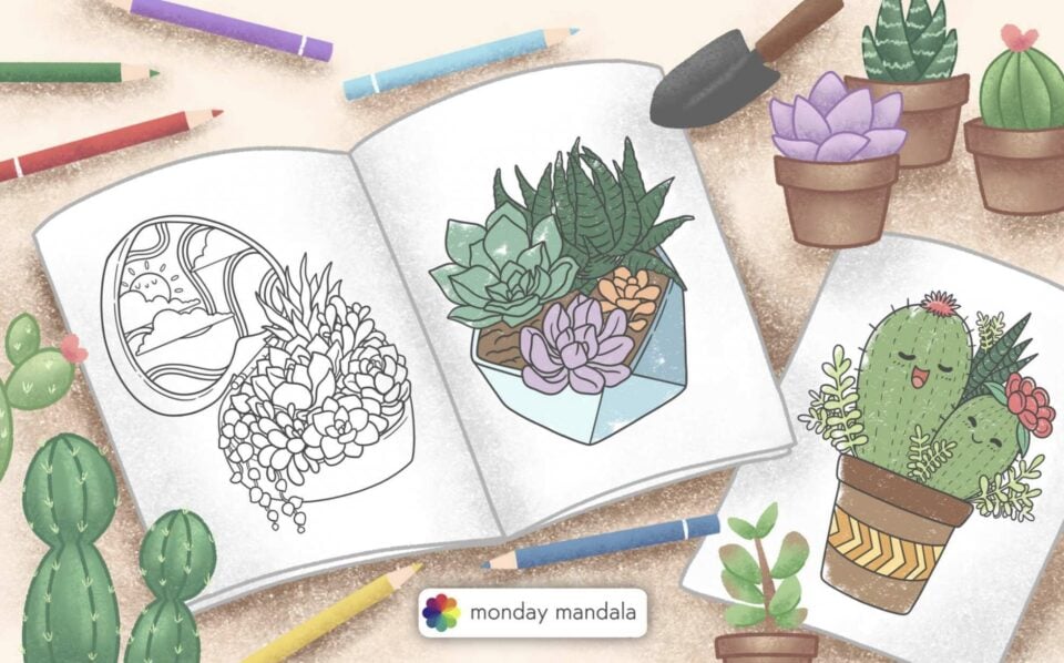 20 Succulent Coloring Pages (Free PDF Printables)