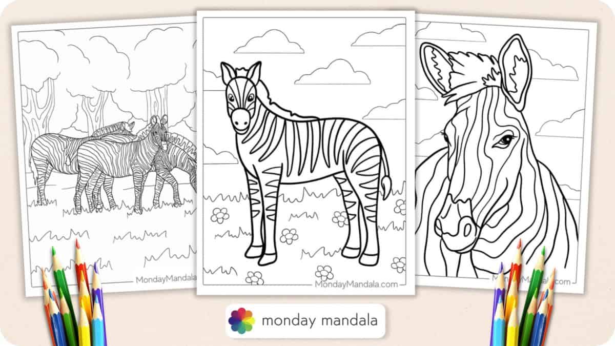 33 Zebra Coloring Pages (Free PDF Printables)